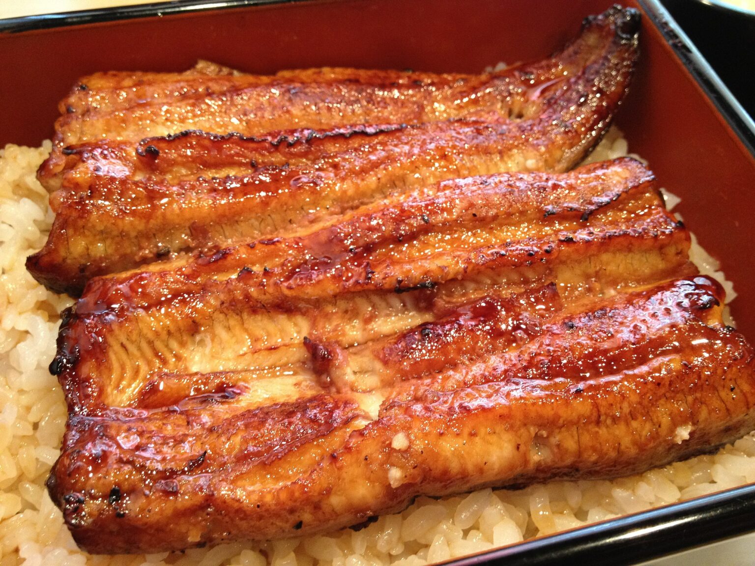 Unagi or Anago? What's the Difference and Which is Better? - Fuji Daily