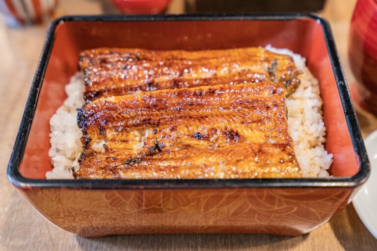 Unagi or Anago? What's the Difference and Which is Better? - Fuji Daily
